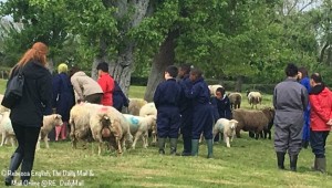 Kate In Familiar Styles for Her Day on the Farm – What Kate Wore