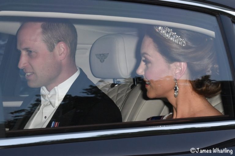 The Duchess in Alexander McQueen and Glittering Jewels for State Dinner ...