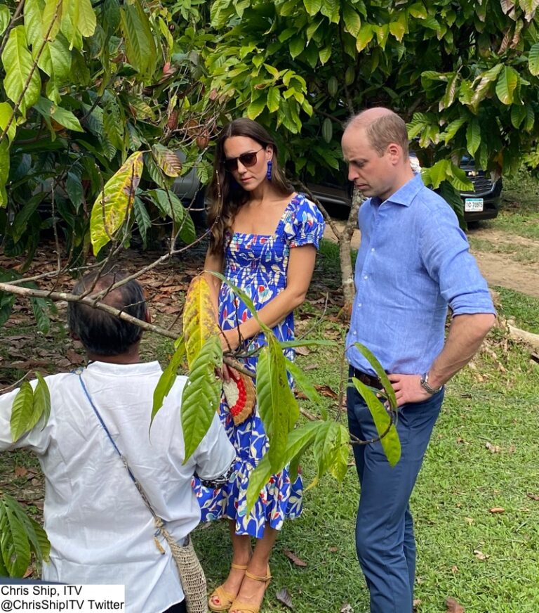 It’s Tory Burch and Old Favorites for Royal Tour Day Two – What Kate Wore