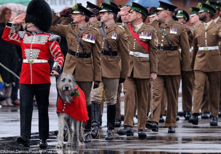 It’s Catherine Walker for St. Patrick’s Day with the Irish Guards ...